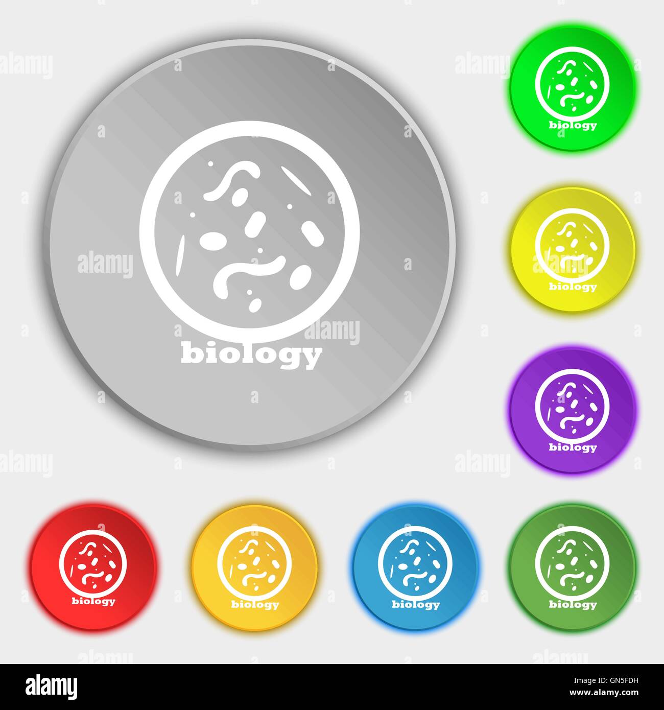 bacteria and virus disease, biology cell under microscope icon sign ...