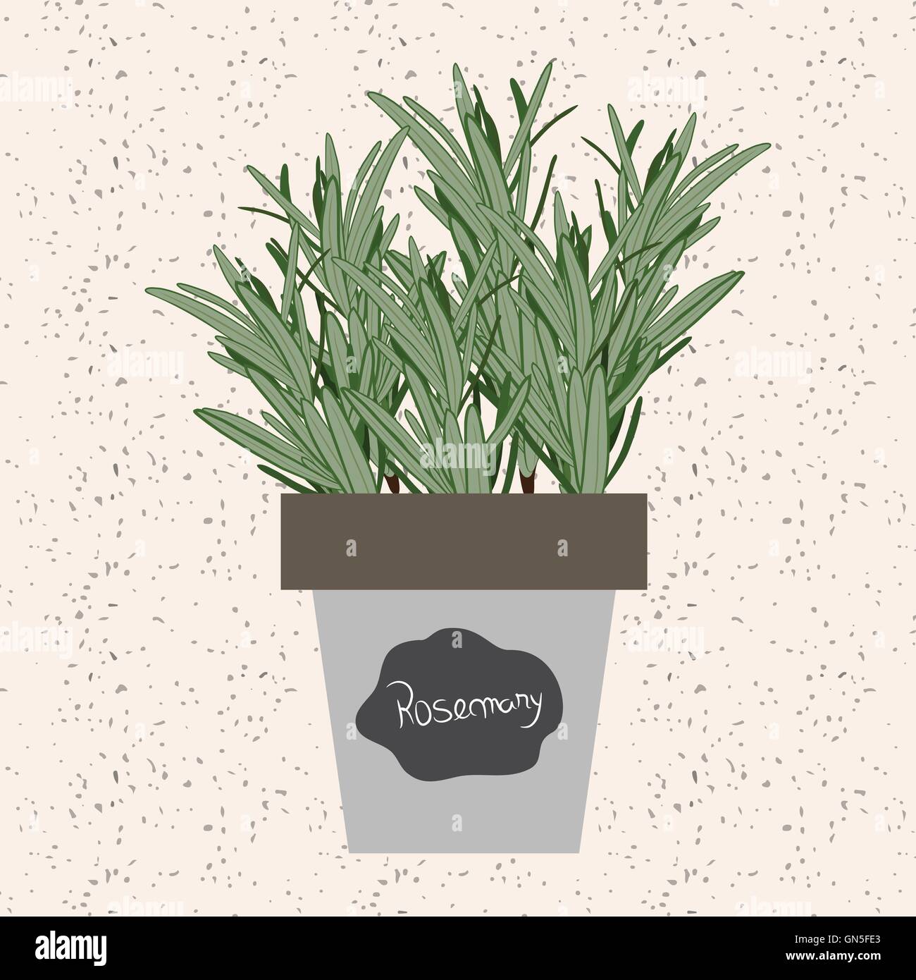 Vector - Fresh rosemary herb in a flowerpot. Aromatic leaves use Stock ...