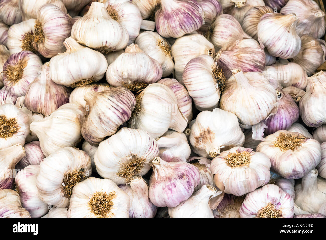Garlic bulbs texture hi-res stock photography and images - Alamy