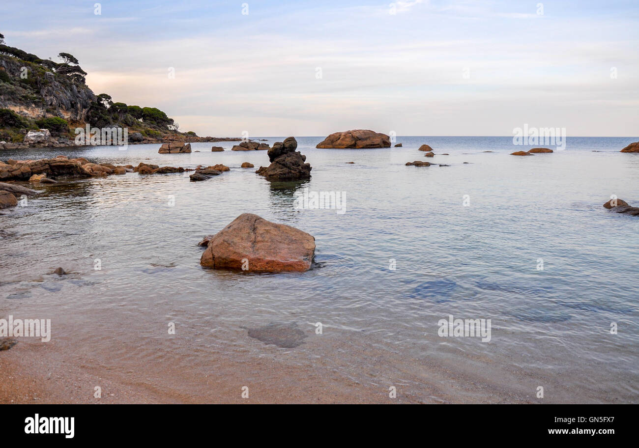 Shelley western australia hi-res stock photography and images - Alamy