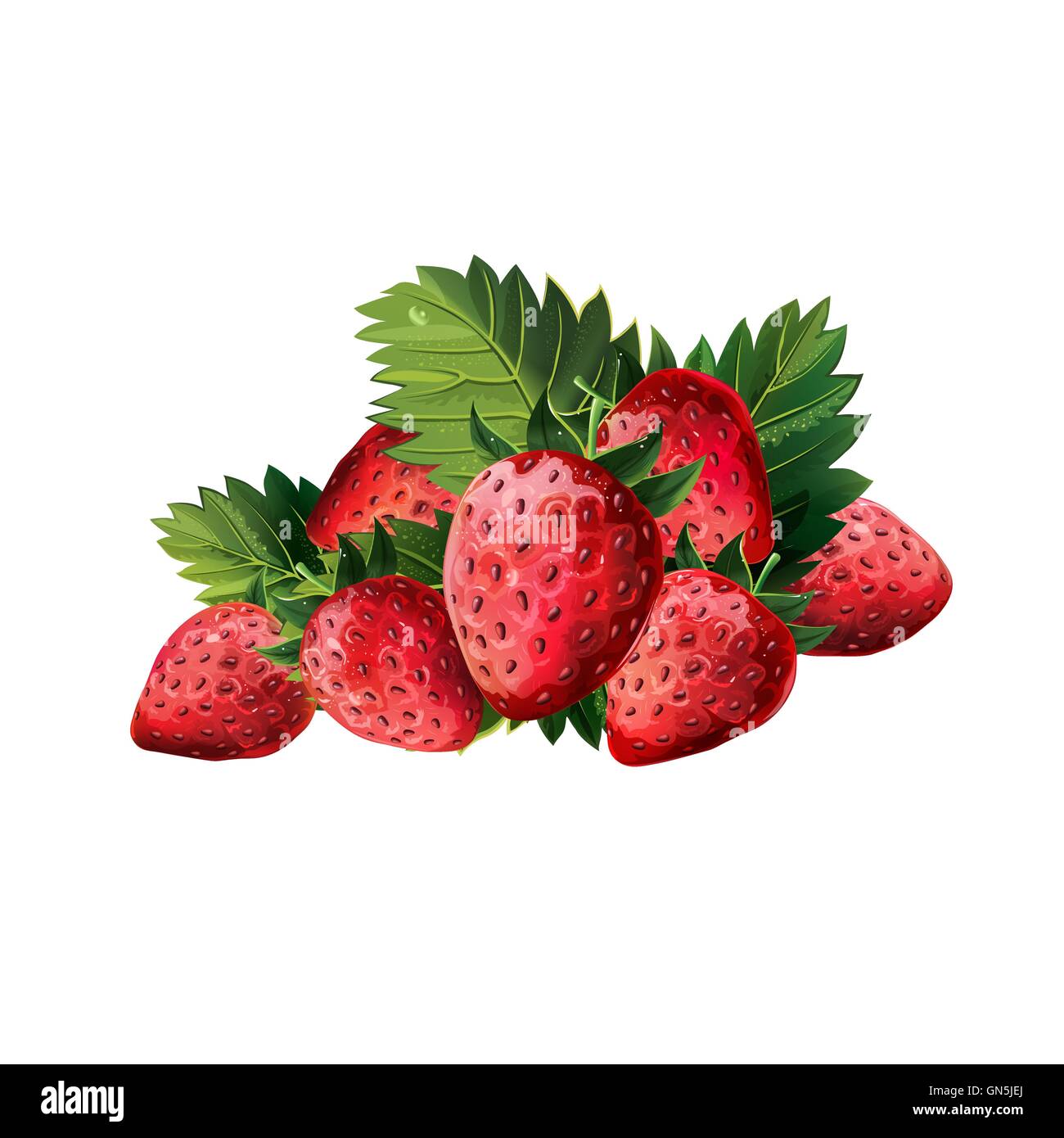 Juicy red strawberries green leaves Stock Vector Images - Alamy