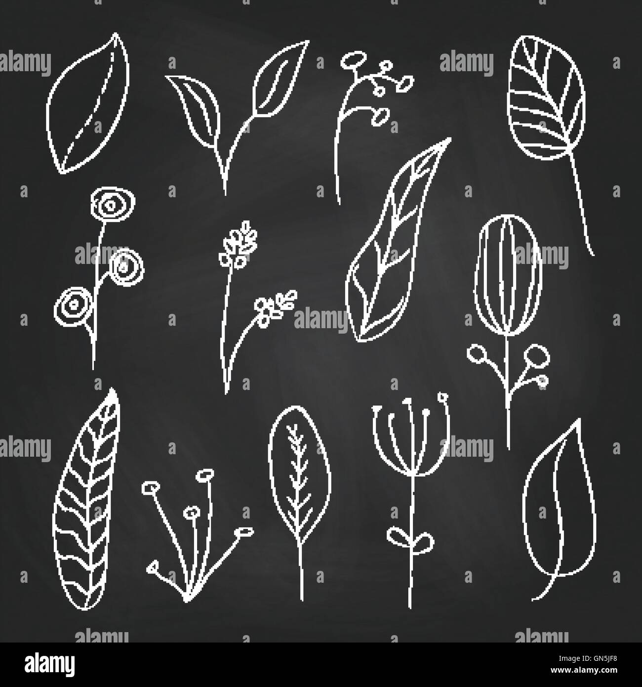 A collection of hand drawn delicate decorative vintage leaves in Stock ...