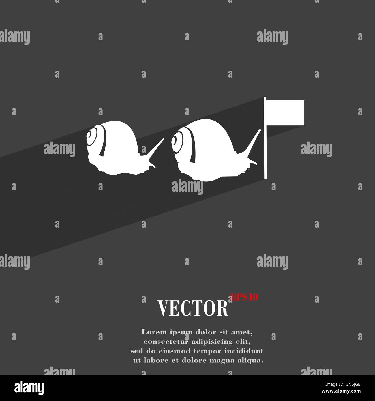 Fast snail symbol Flat modern web design with long shadow and space for ...