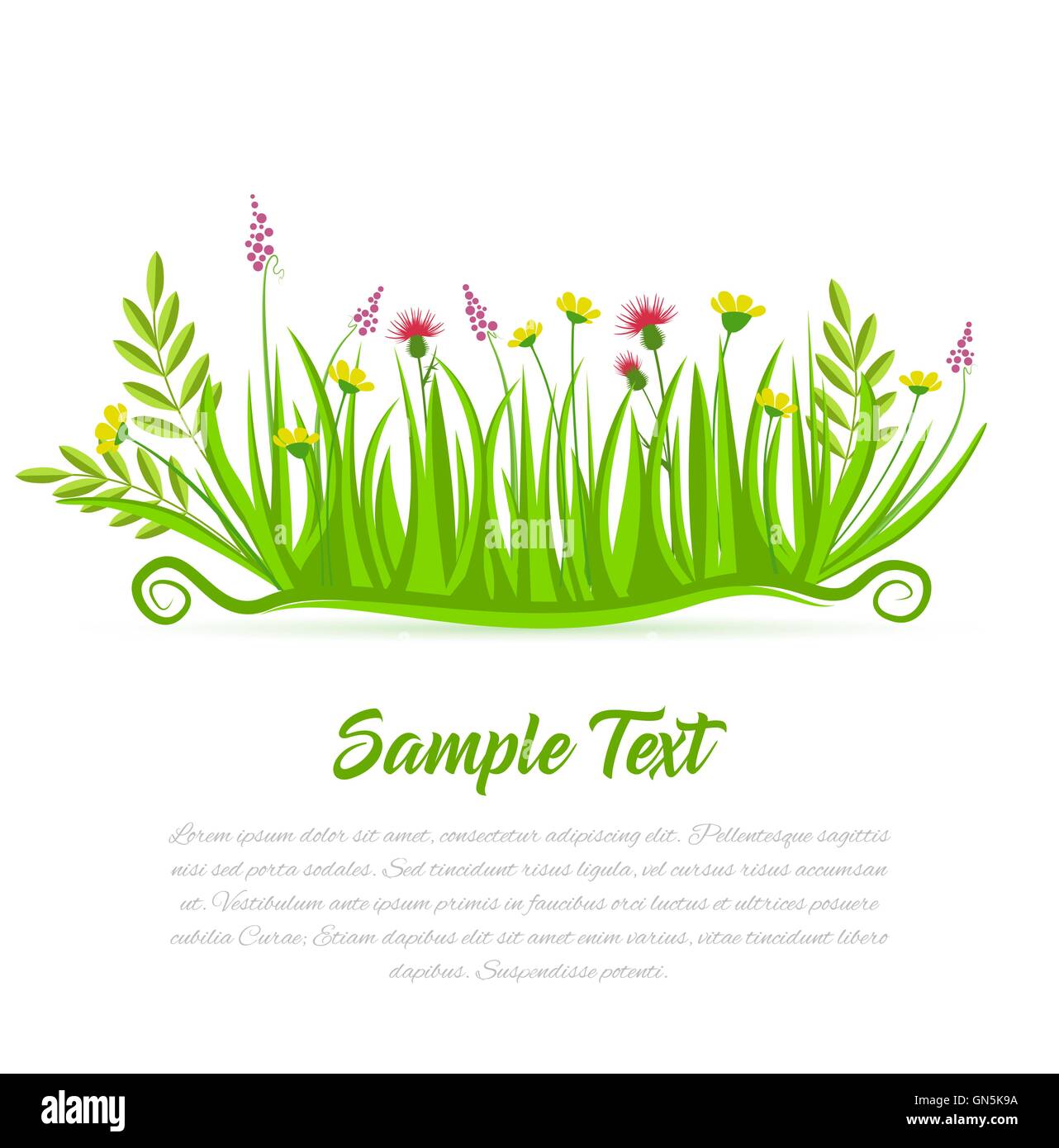 Vector illustration grass Stock Vector Image & Art - Alamy