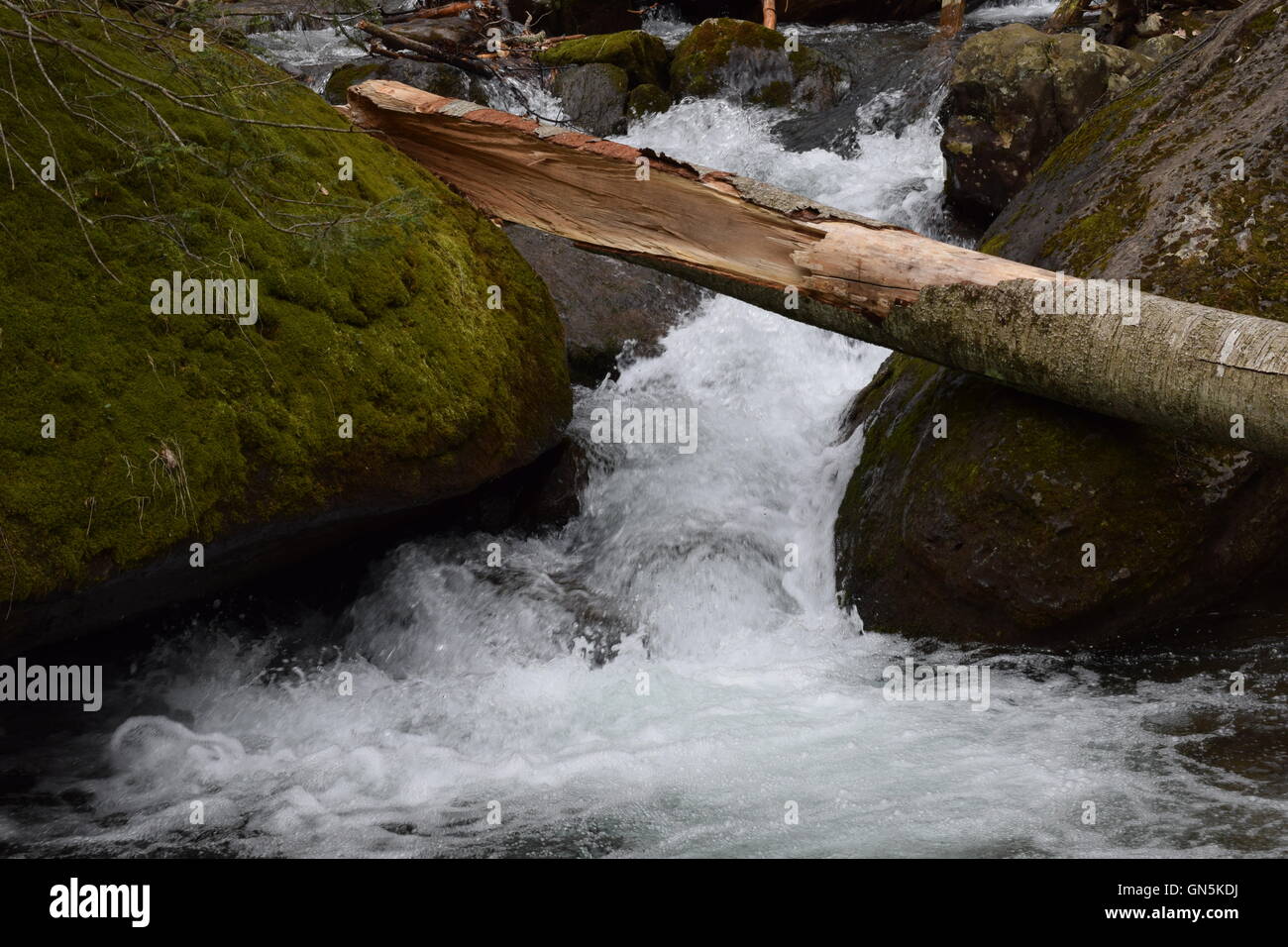 Rushing across hi-res stock photography and images - Alamy