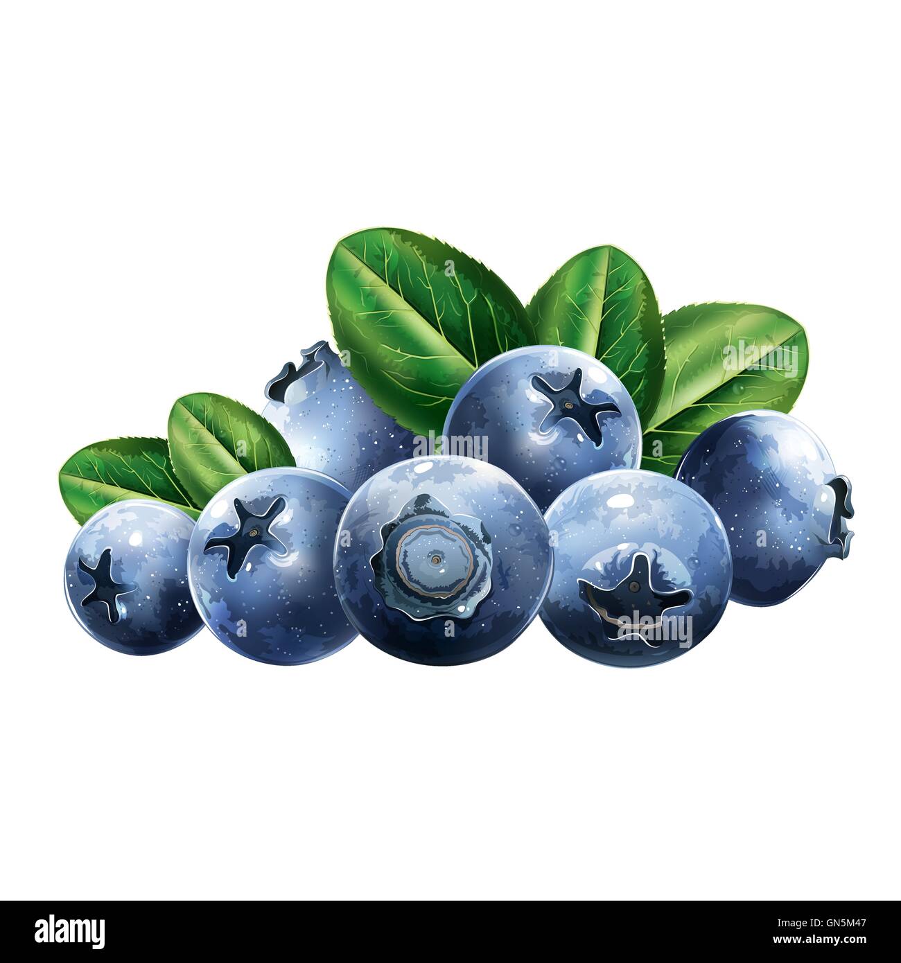 Juicy ripe green black Stock Vector Images - Alamy