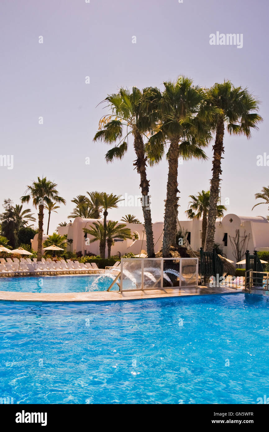 swimming pool with palm trees Stock Photo - Alamy