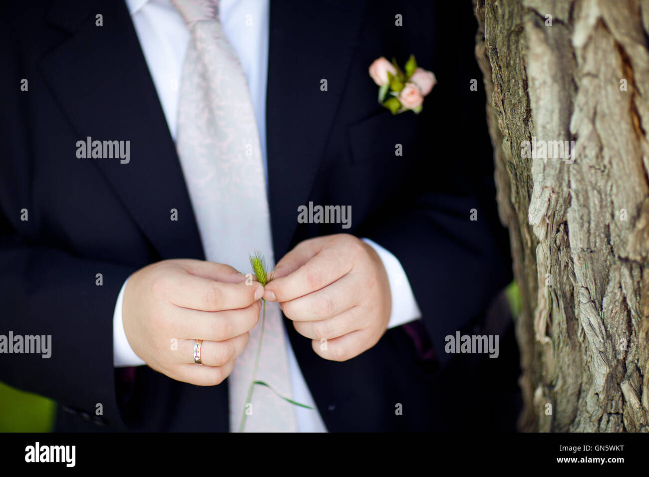 blade in hands Stock Photo - Alamy