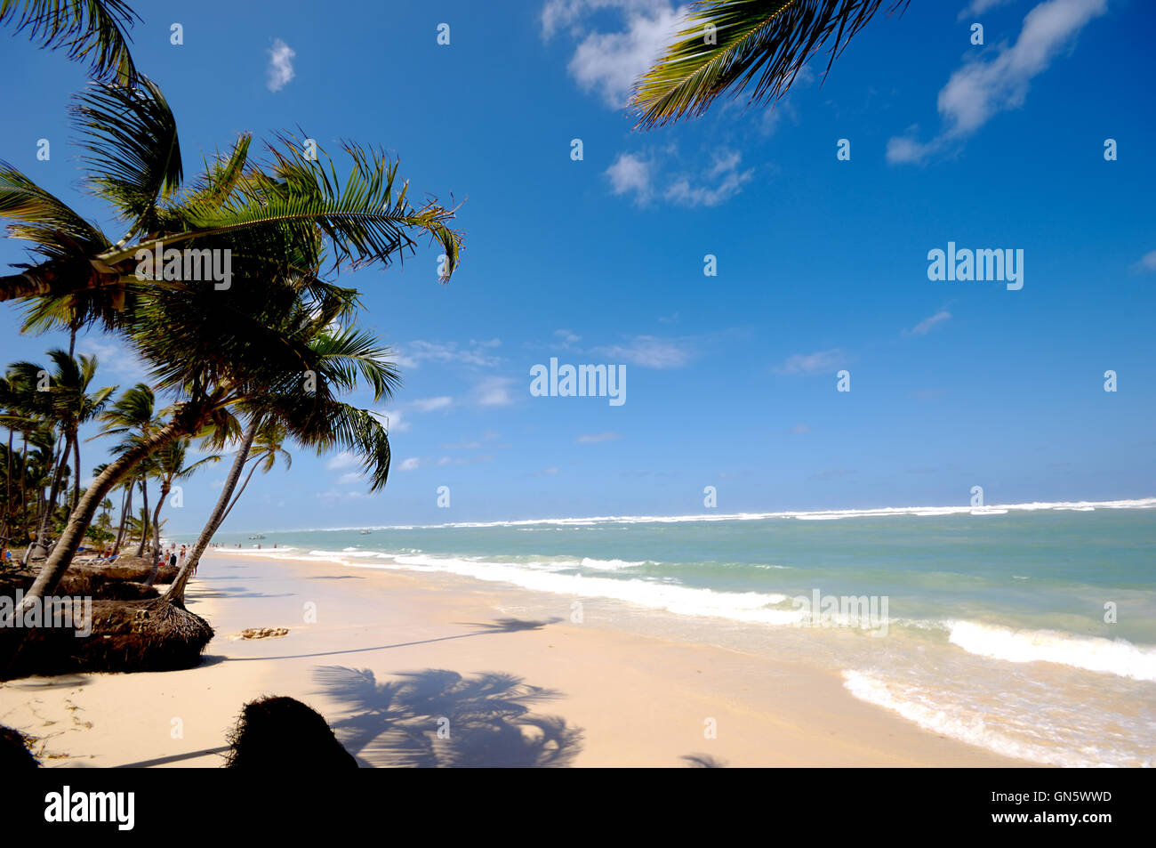 Exotic caribbean beach Stock Photo - Alamy
