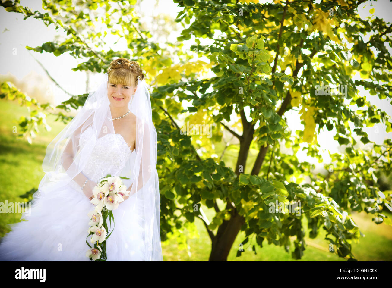 bride with orchids Stock Photo - Alamy