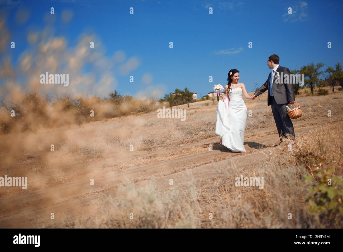 bride and groom on the road Stock Photo - Alamy