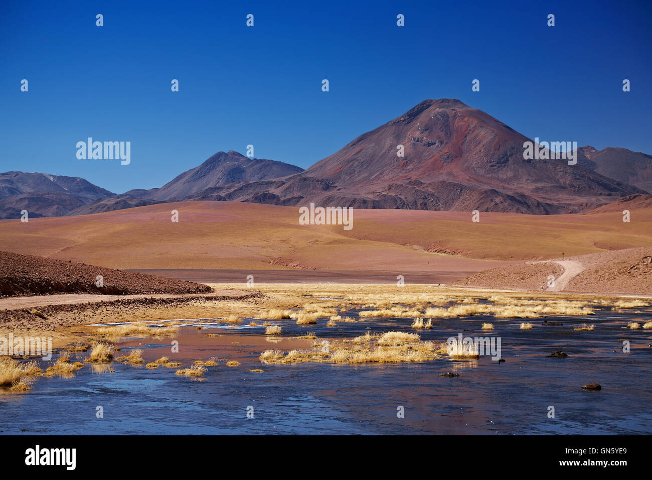 Rio Putana and volcanoes in Atacama region, Chile Stock Photo - Alamy