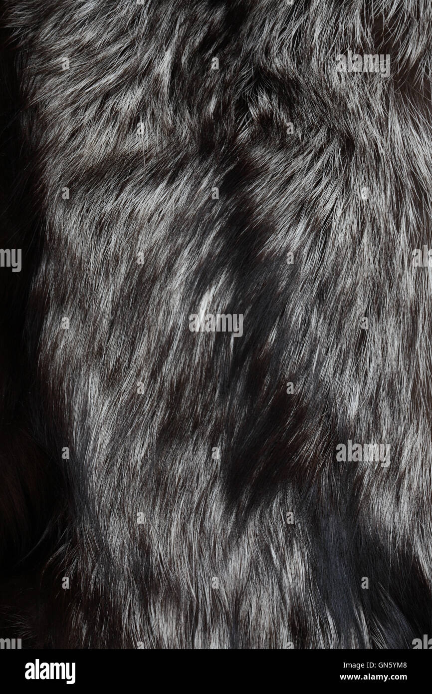Fur skins hi-res stock photography and images - Alamy