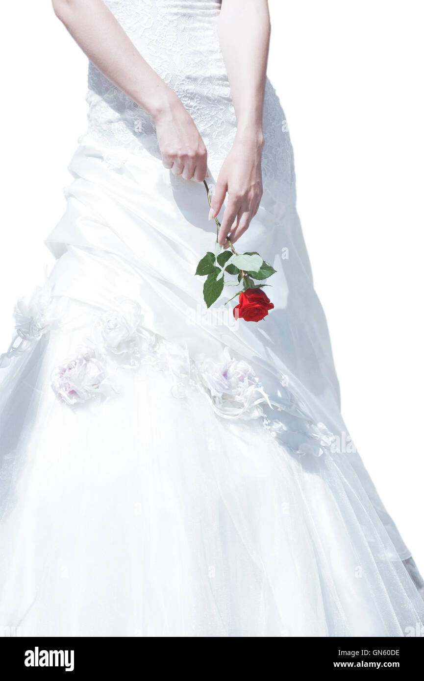 Red rose in hands Stock Photo - Alamy