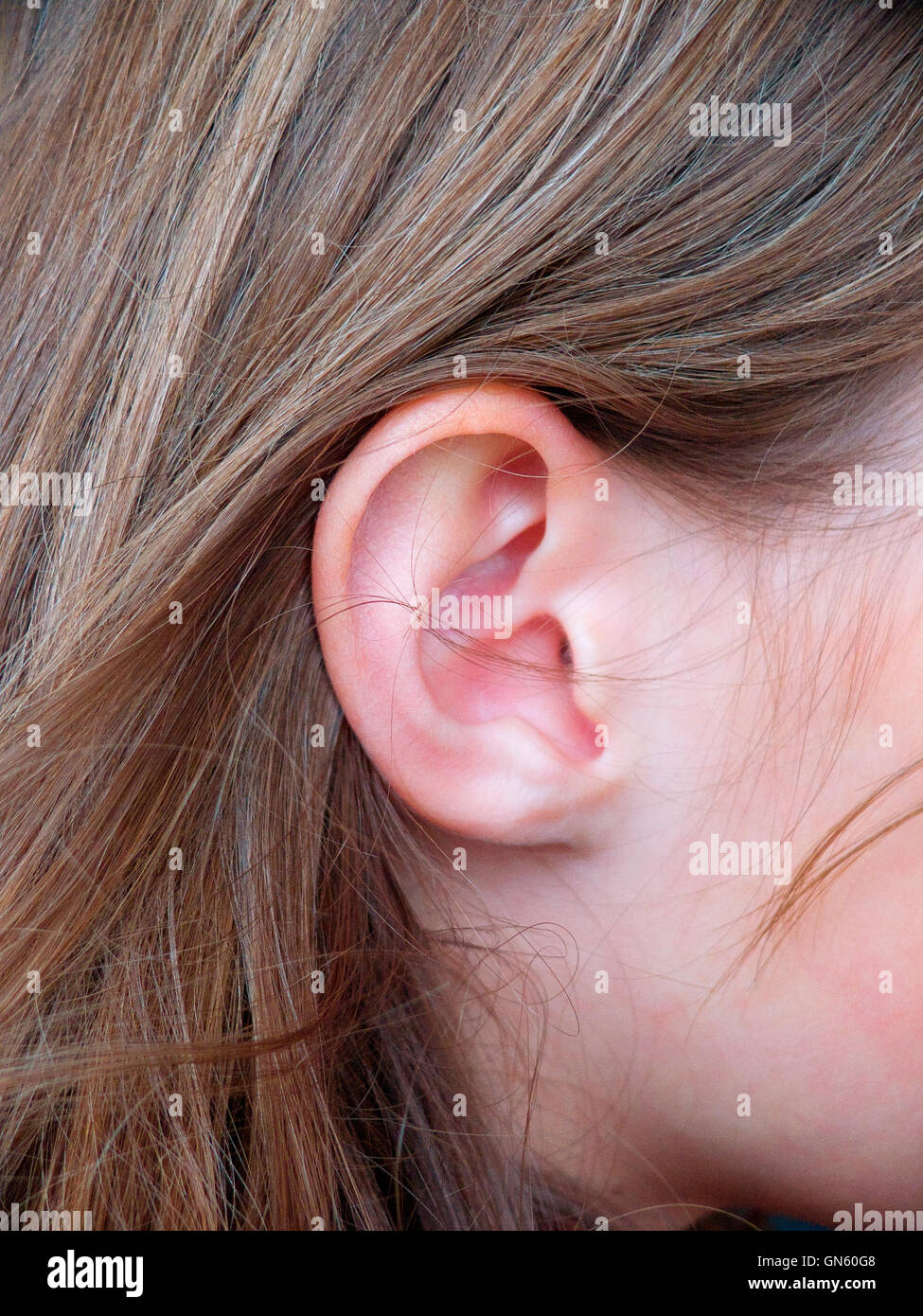 Ear of a caucasian girl, young teenager, long hair, in closeup Stock ...