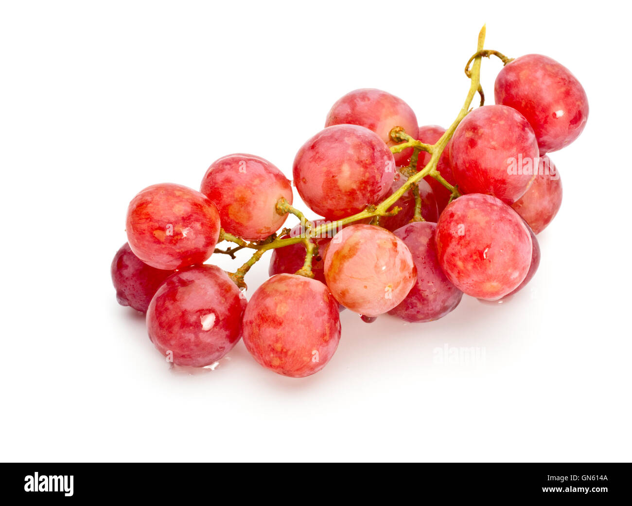 Grape vine graft hi-res stock photography and images - Alamy