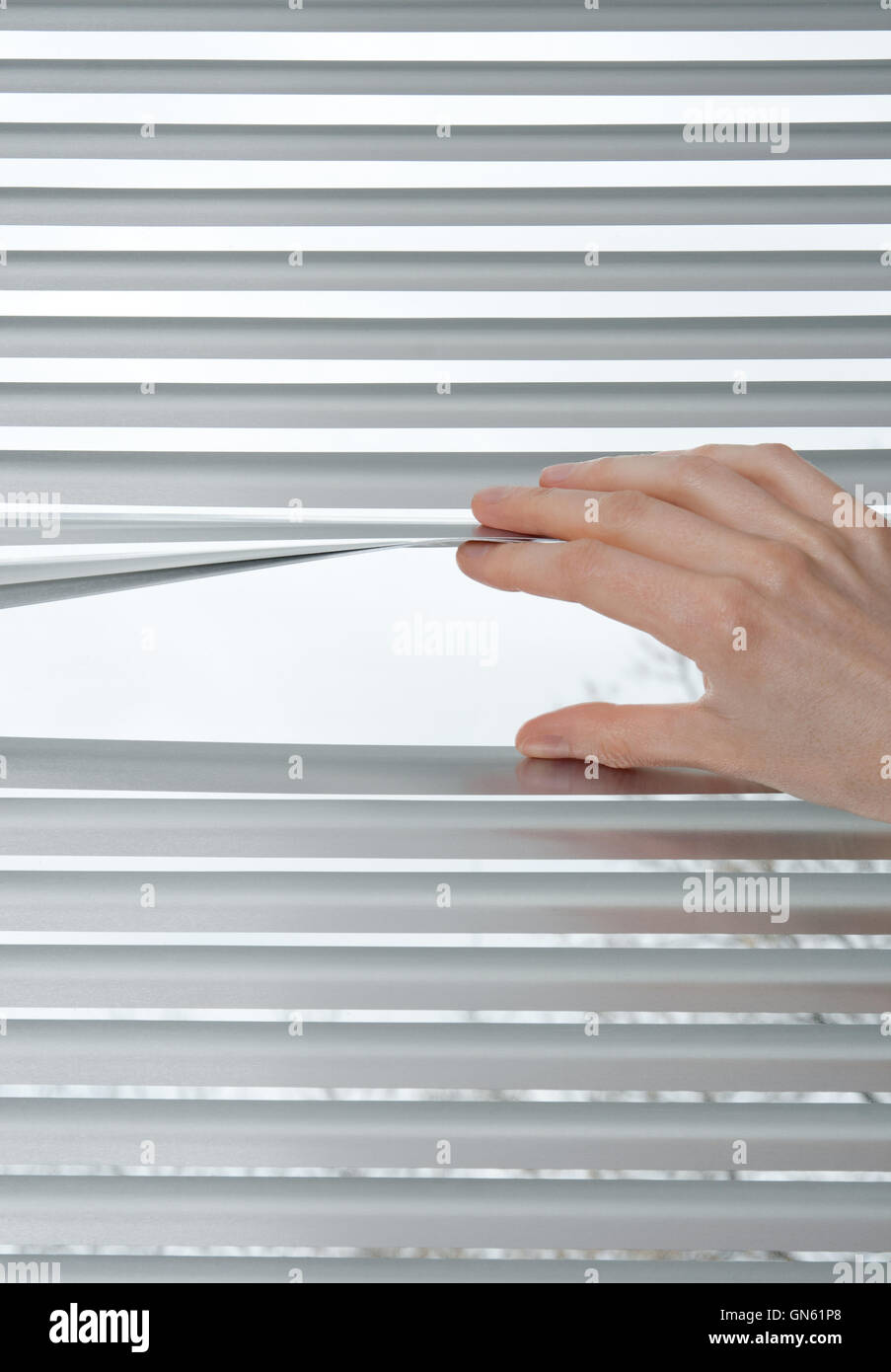 Hand opening venetian blinds for peeking Stock Photo - Alamy
