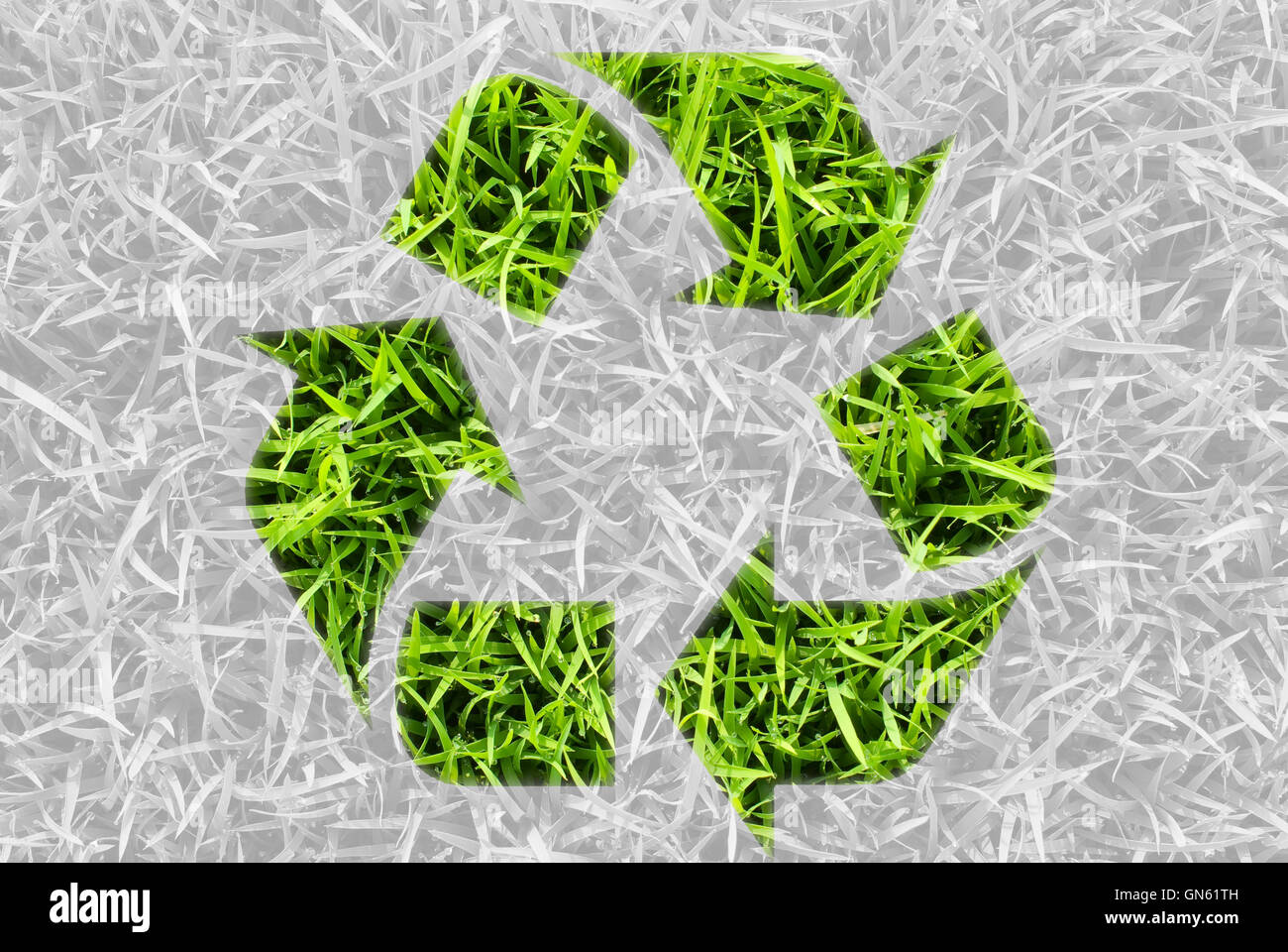 Recycle for green nature, symbol by fresh grass leaves Stock Photo - Alamy