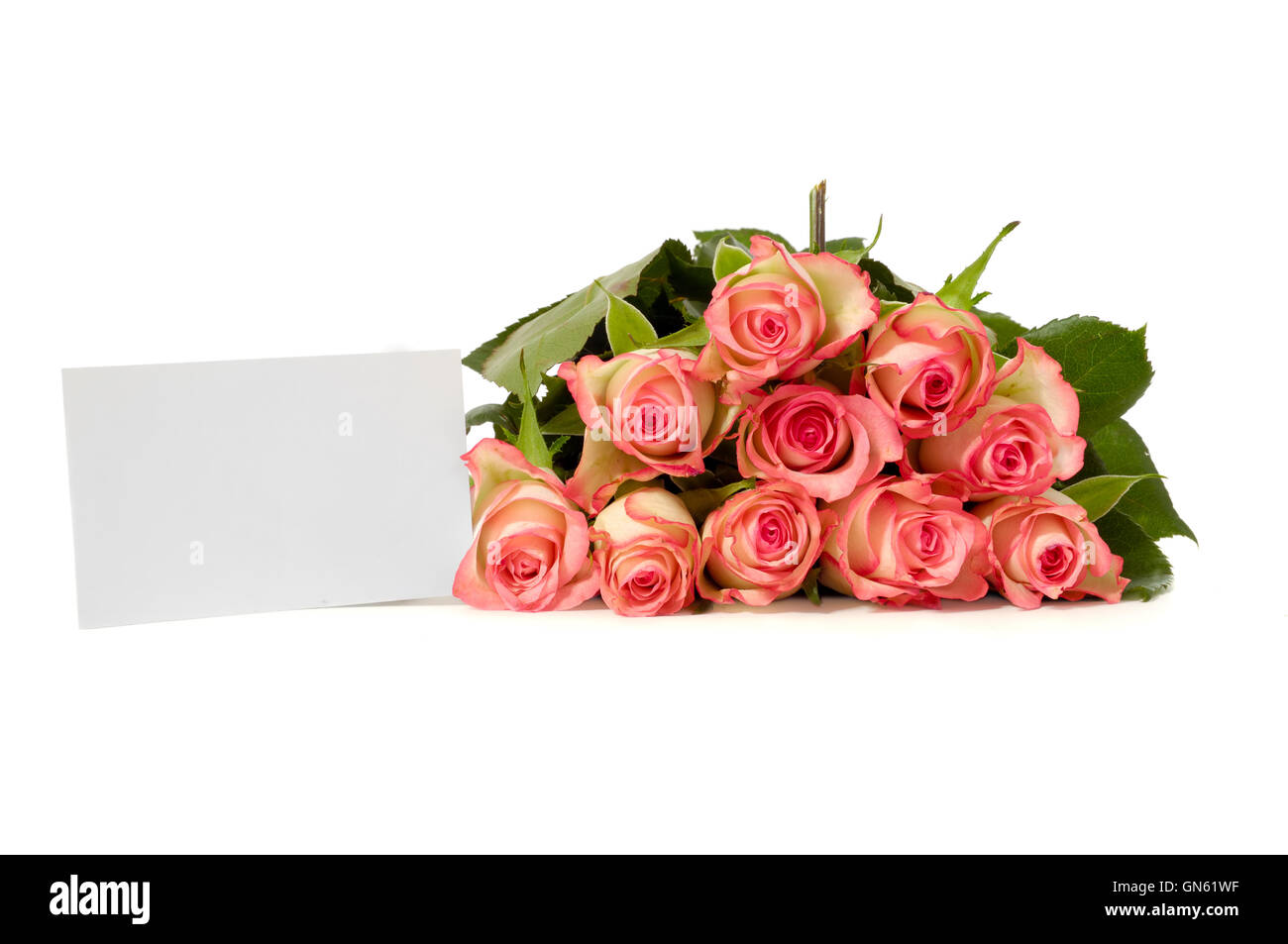 Roses with gift card Stock Photo - Alamy