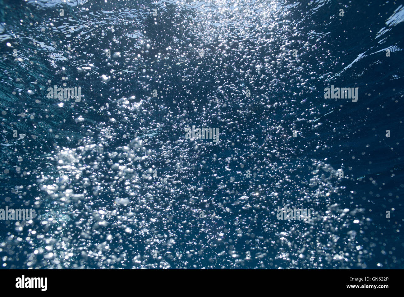 background of sunlight bubbles in water Stock Photo - Alamy