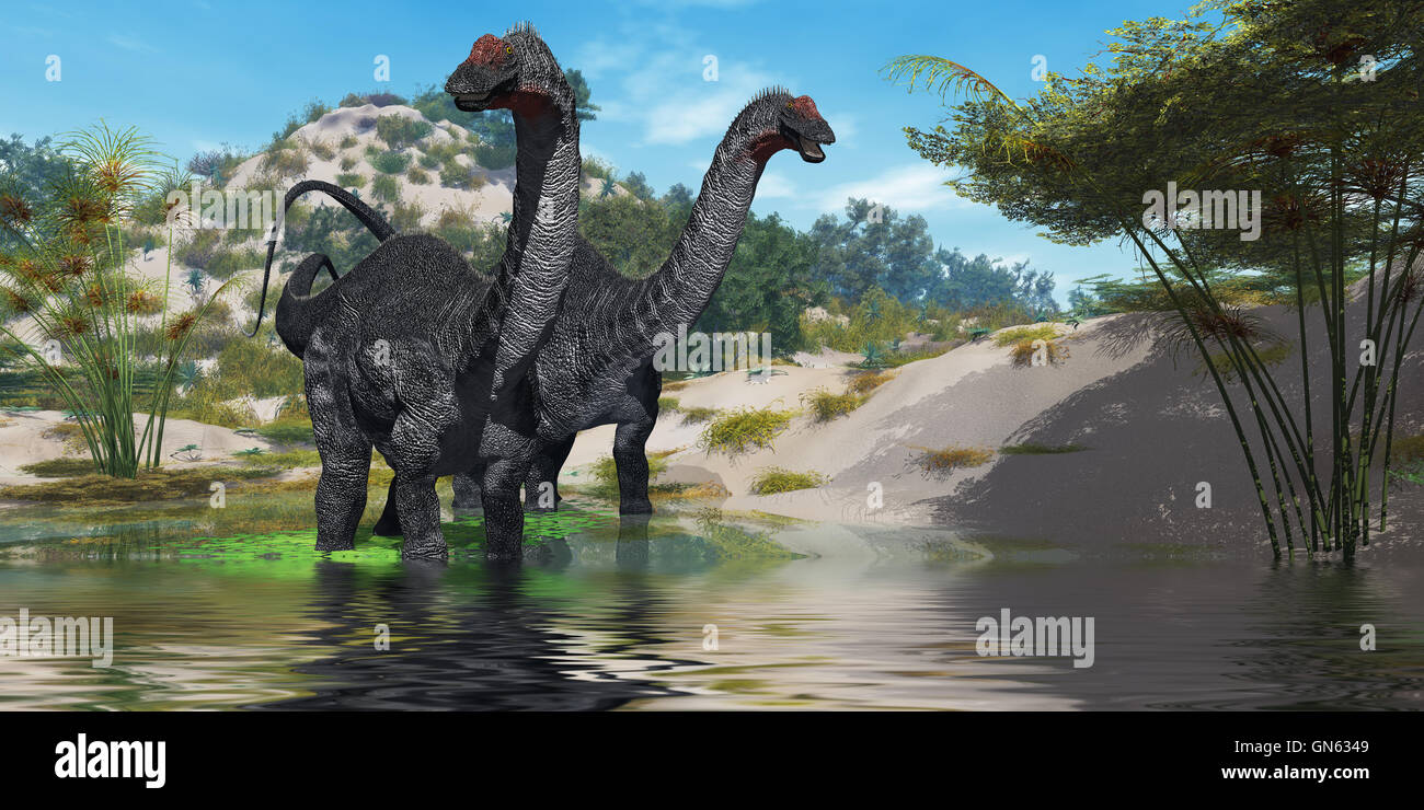 Brontosaurus teeth hi-res stock photography and images - Alamy