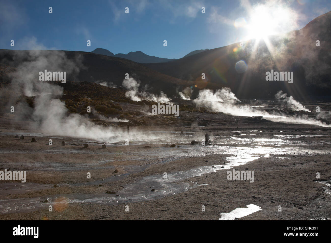 Geyser field El Tatio in Atacama region, Chile Stock Photo - Alamy