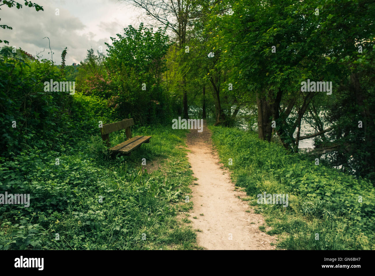 Bench and path in a green park Stock Photo - Alamy