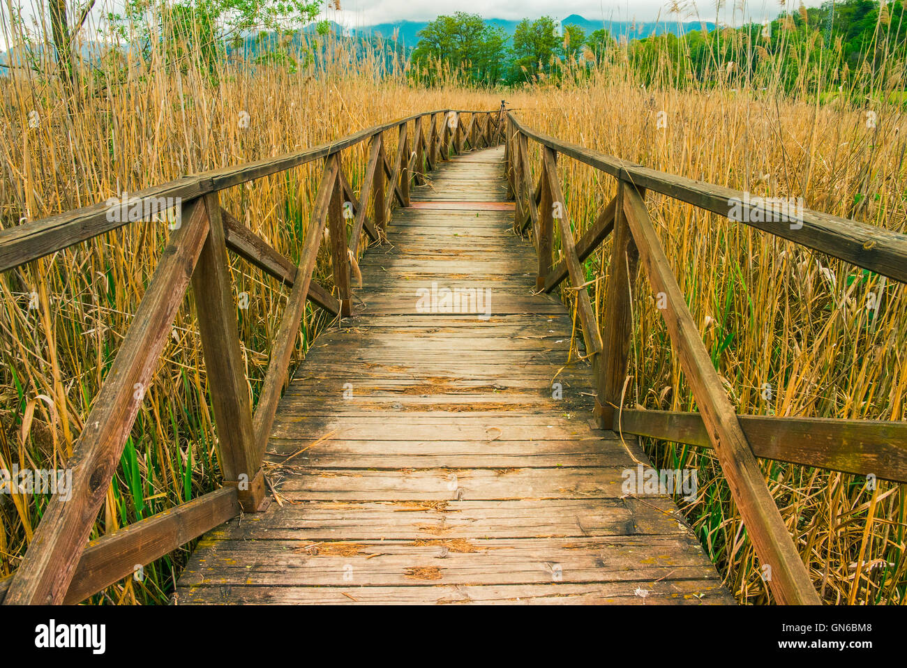 Wooden gate path pathway hi-res stock photography and images - Alamy