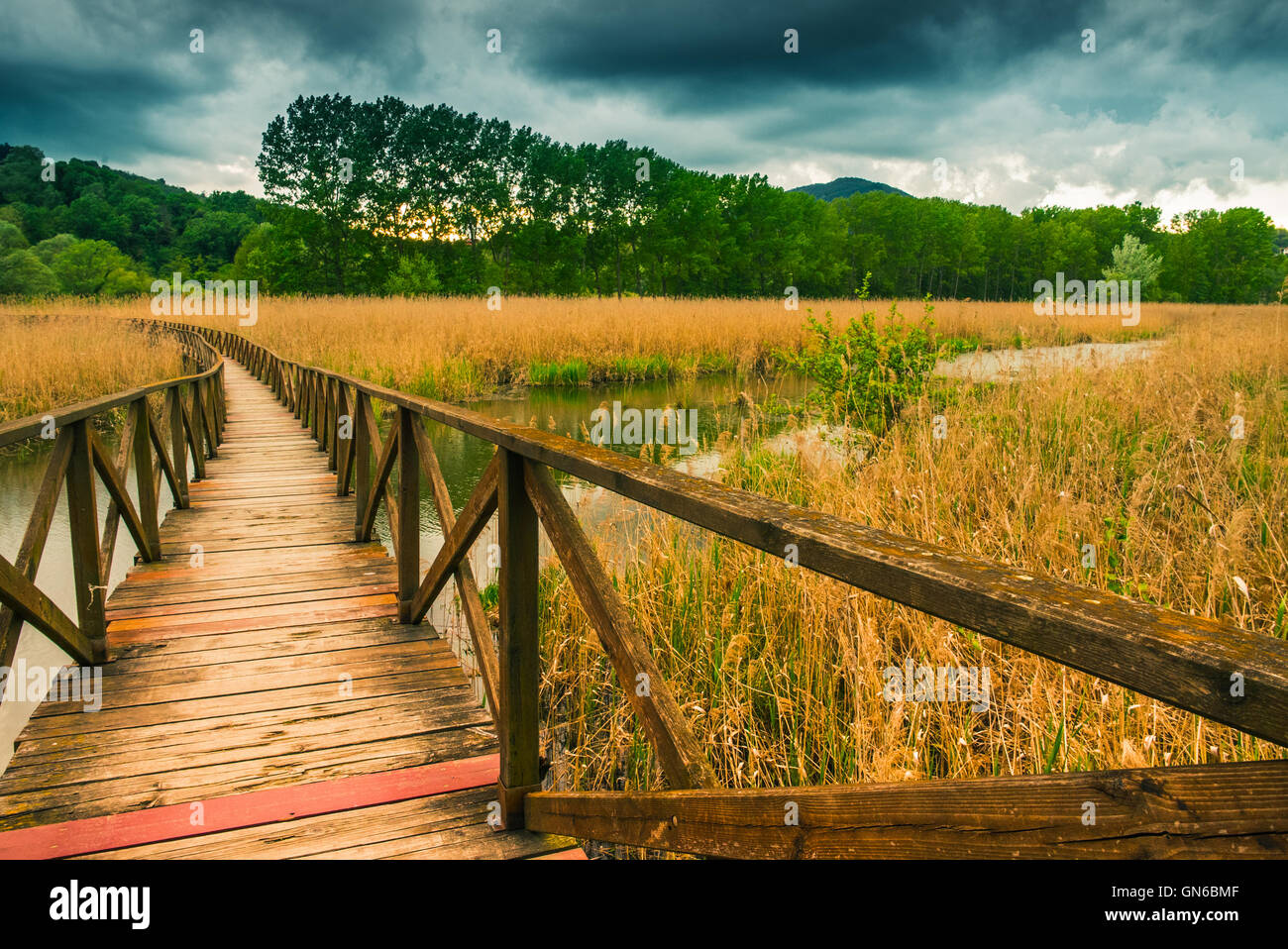 Wooden gate path pathway hi-res stock photography and images - Alamy