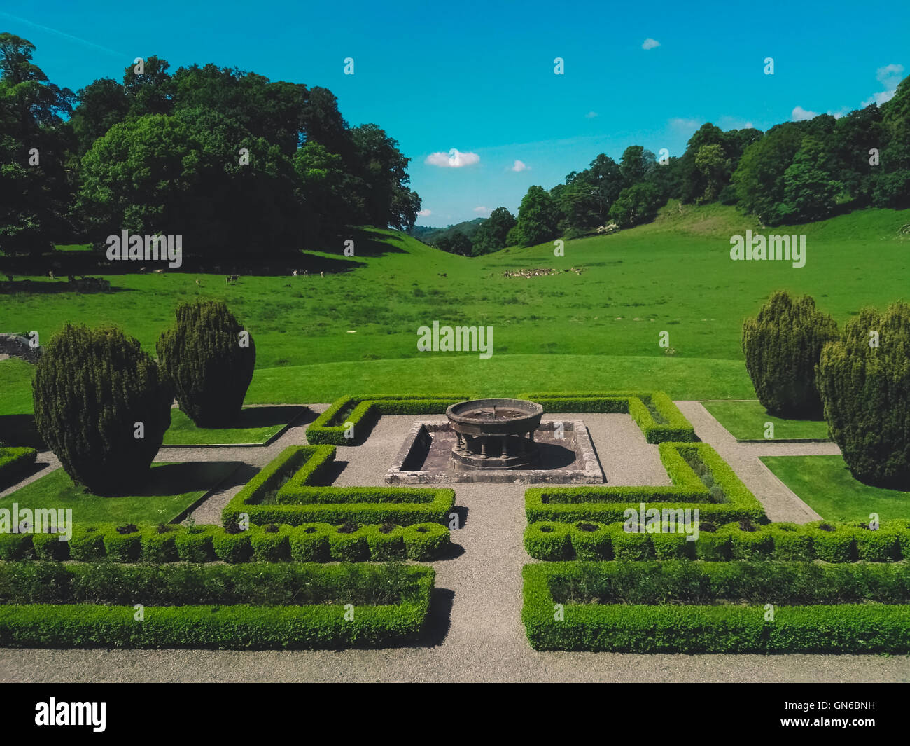 Welsh flora hi-res stock photography and images - Alamy