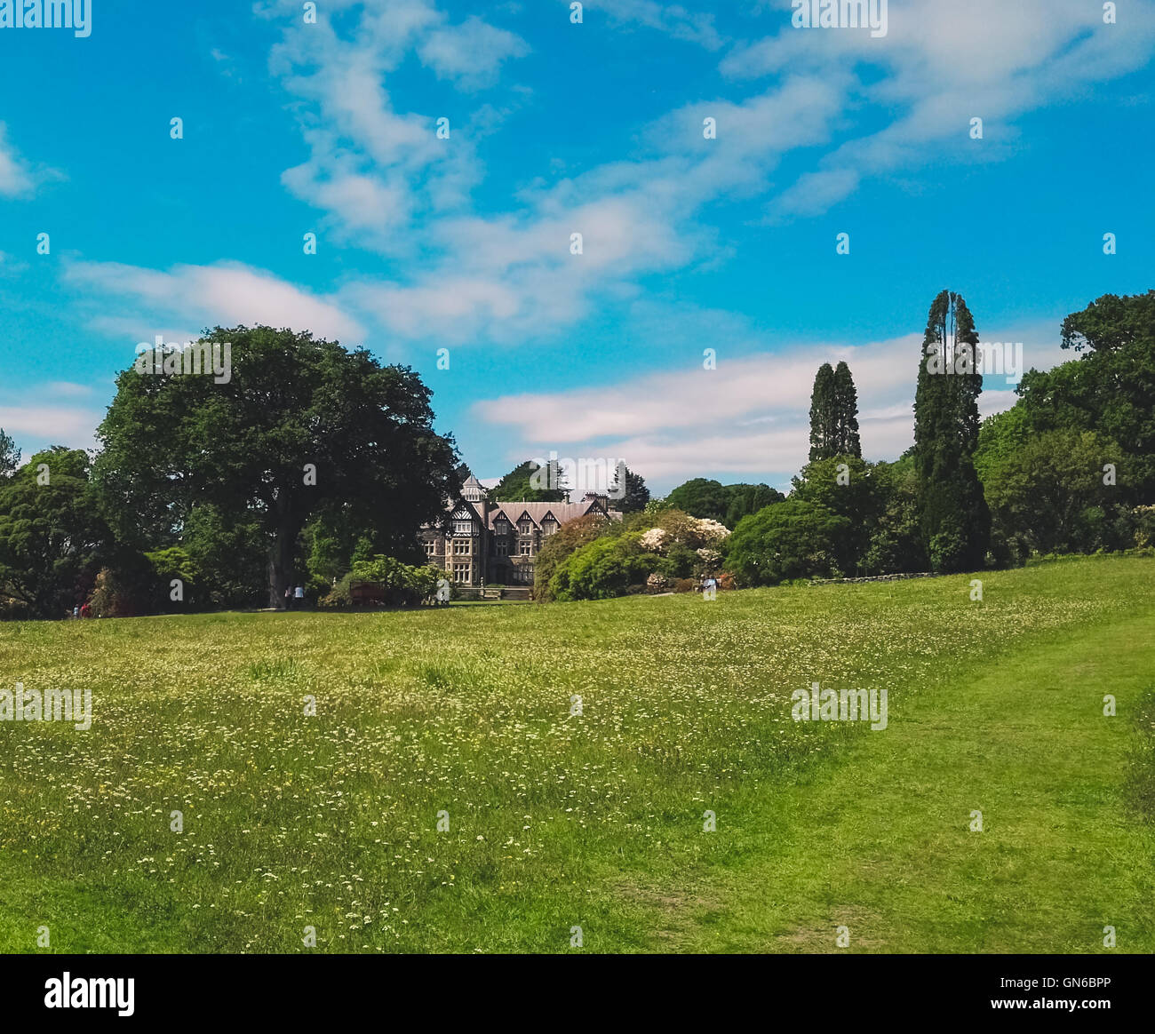 Green field and house in a park Stock Photo - Alamy