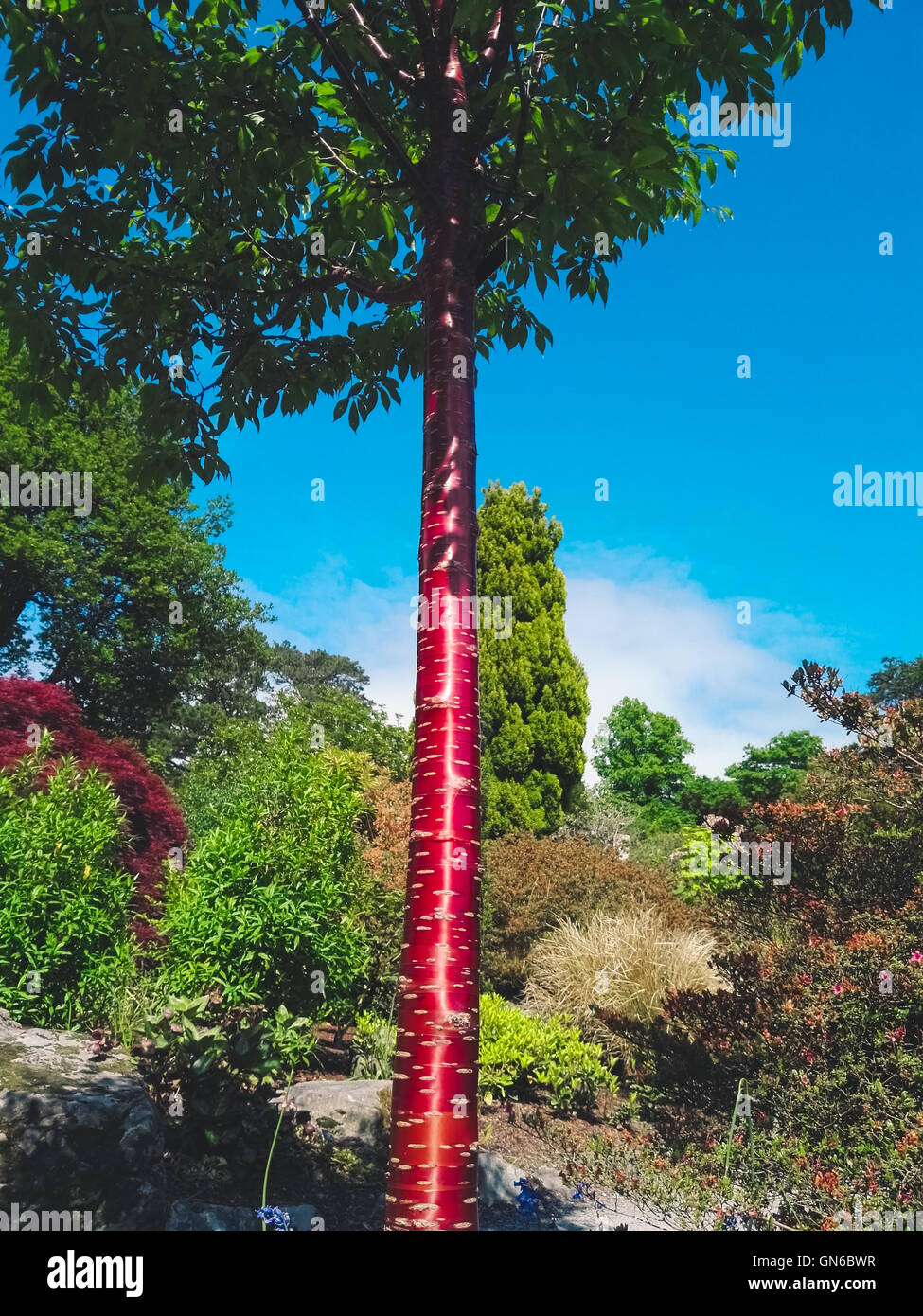 Bodnant garden spring hi-res stock photography and images - Alamy