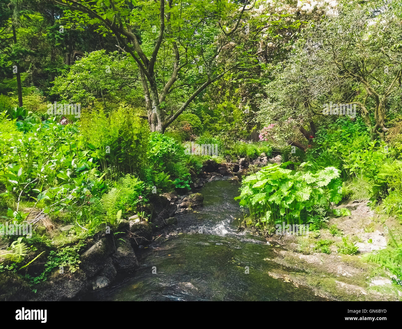 River rocks garden path hi-res stock photography and images - Alamy