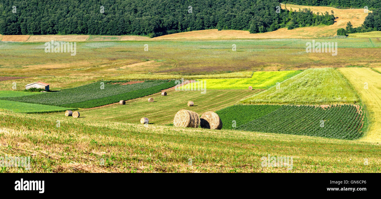 Parco di Colfiorito (Umbria Stock Photo - Alamy