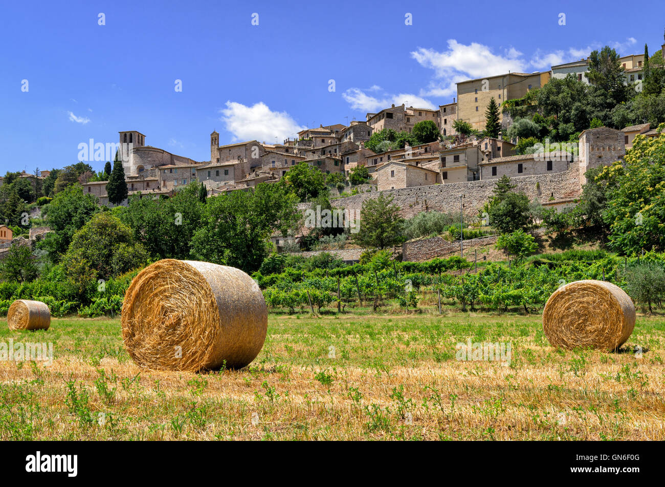 Spello (Umbria Italy Stock Photo - Alamy