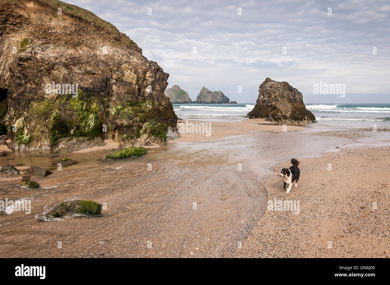 The beach at Holywell Bay on the coast of Cornwall, England. View ...