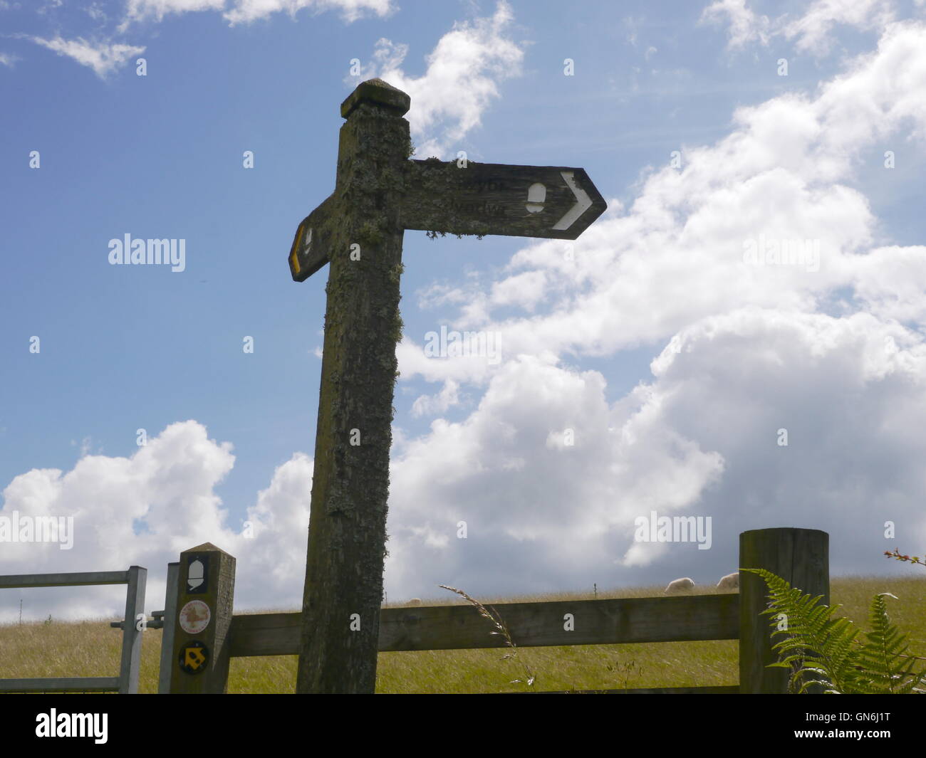 Signpost in Wales Stock Photo - Alamy