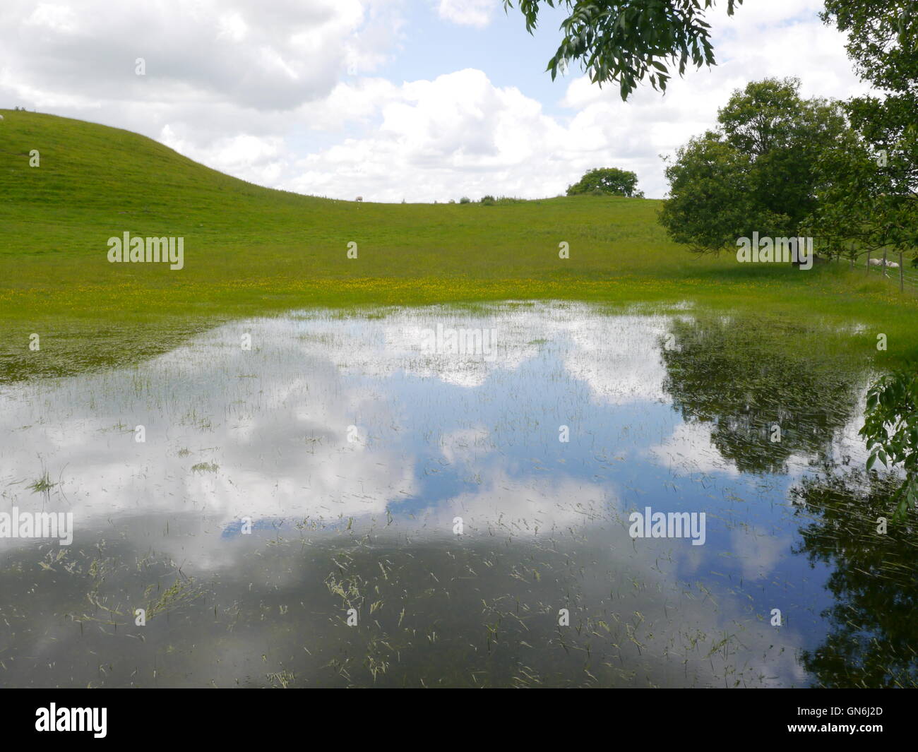 Sky and clouds reflected in pond hi-res stock photography and images ...