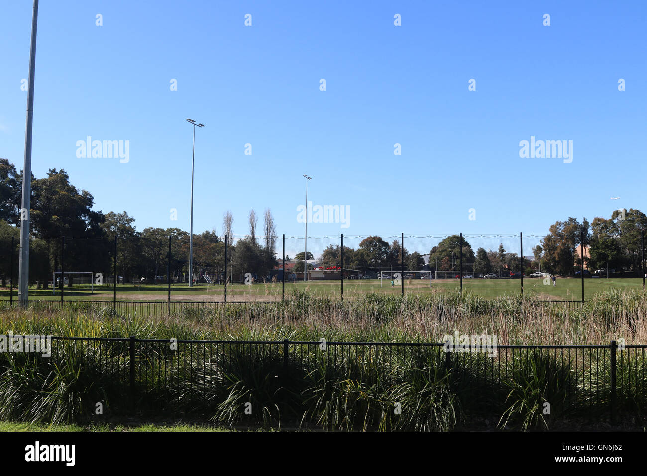 Mackey Park, Marrickville in Sydney, Australia Stock Photo - Alamy