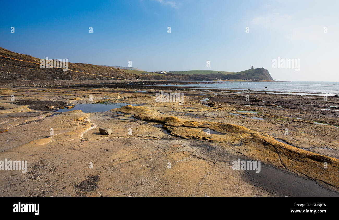 Kimmeridge Bay, Purbeck Dorset Spring 2016 Stock Photo - Alamy