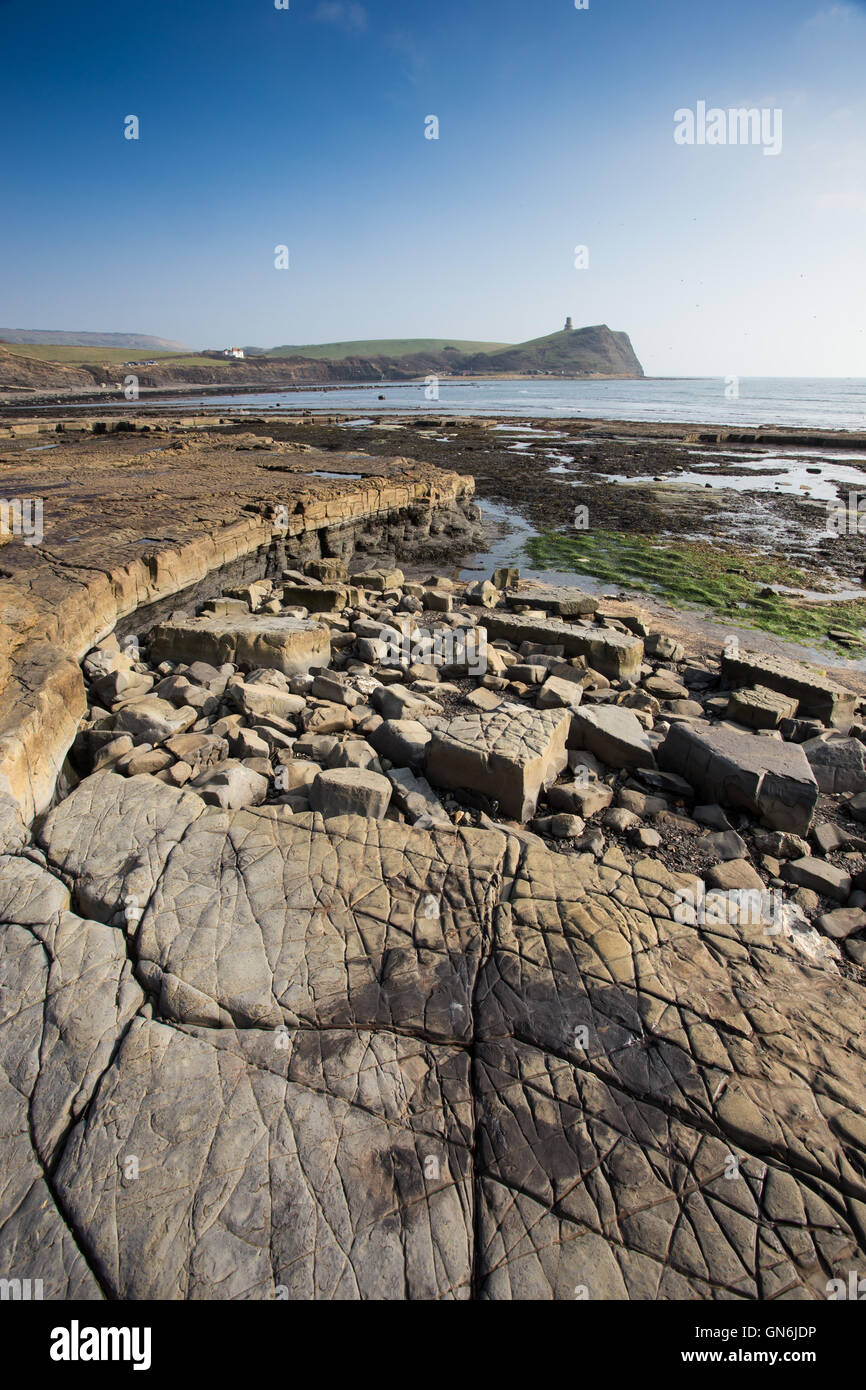 Kimmeridge Bay, Purbeck, Dorset Spring 2016 Stock Photo - Alamy