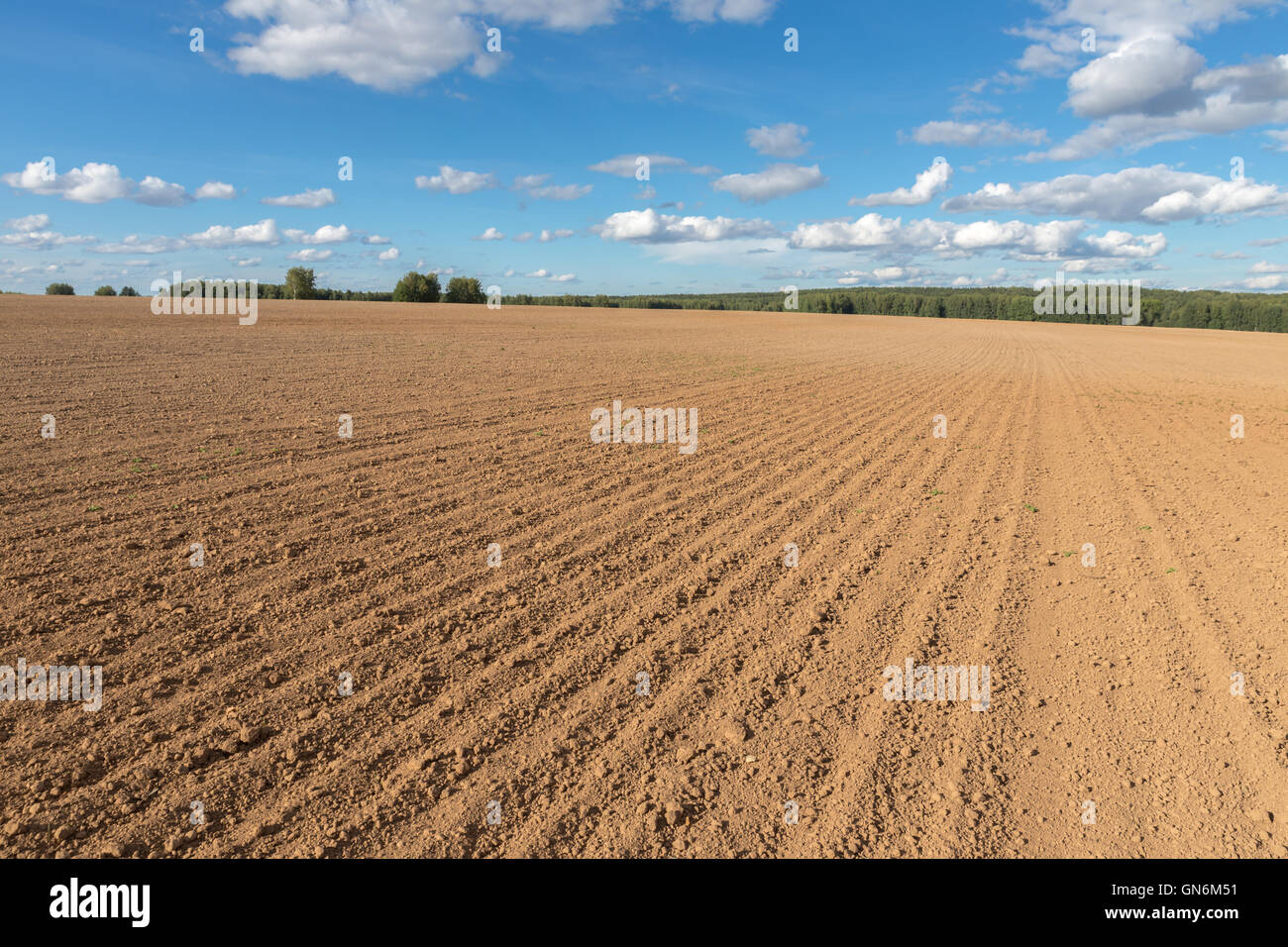 arable field farm and blue sky Stock Photo - Alamy