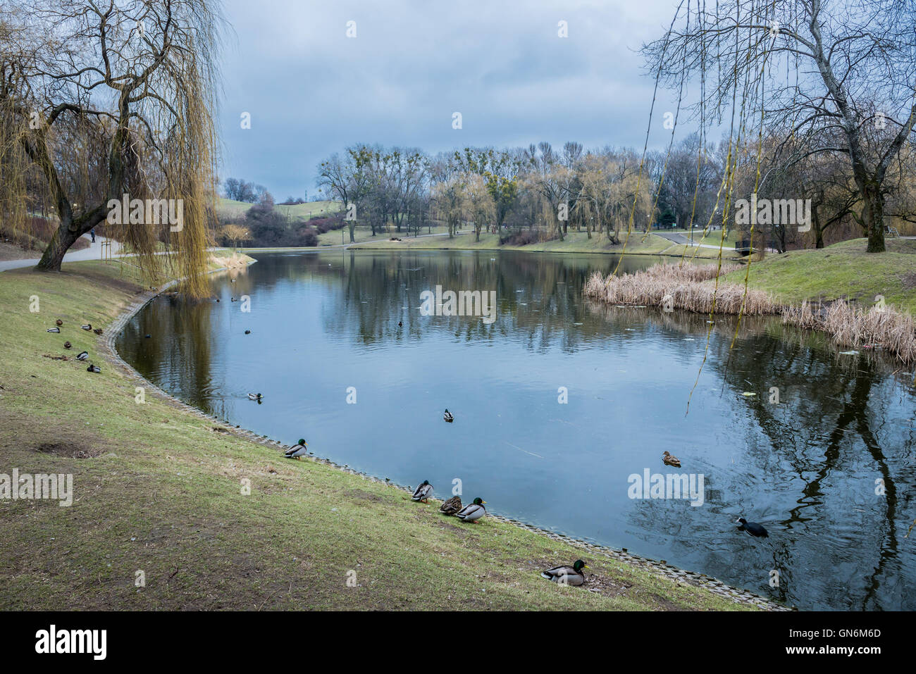 Pond in Moczydlo Park in Warsaw city in Poland Stock Photo - Alamy