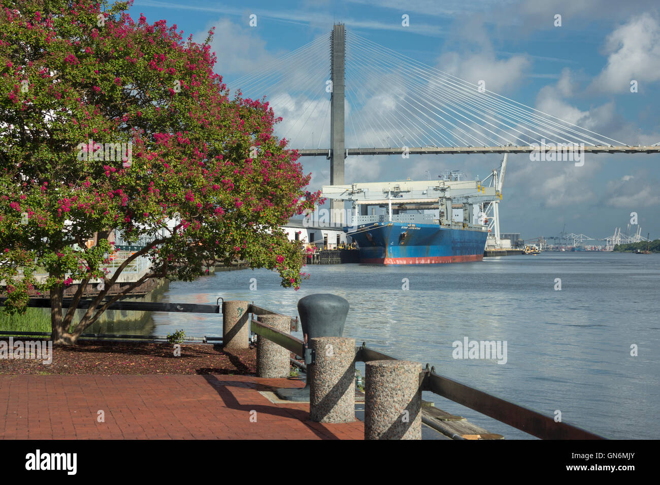 RIVER WALK PROMENADE SAVANNAH RIVER SAVANNAH GEORGIA USA Stock Photo ...