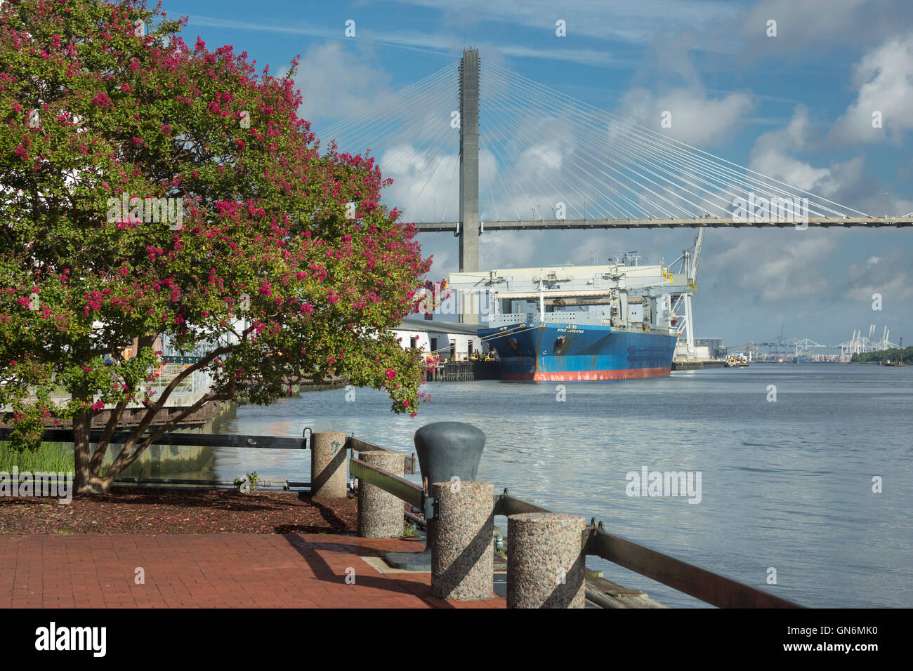 RIVER WALK PROMENADE SAVANNAH RIVER SAVANNAH GEORGIA USA Stock Photo ...