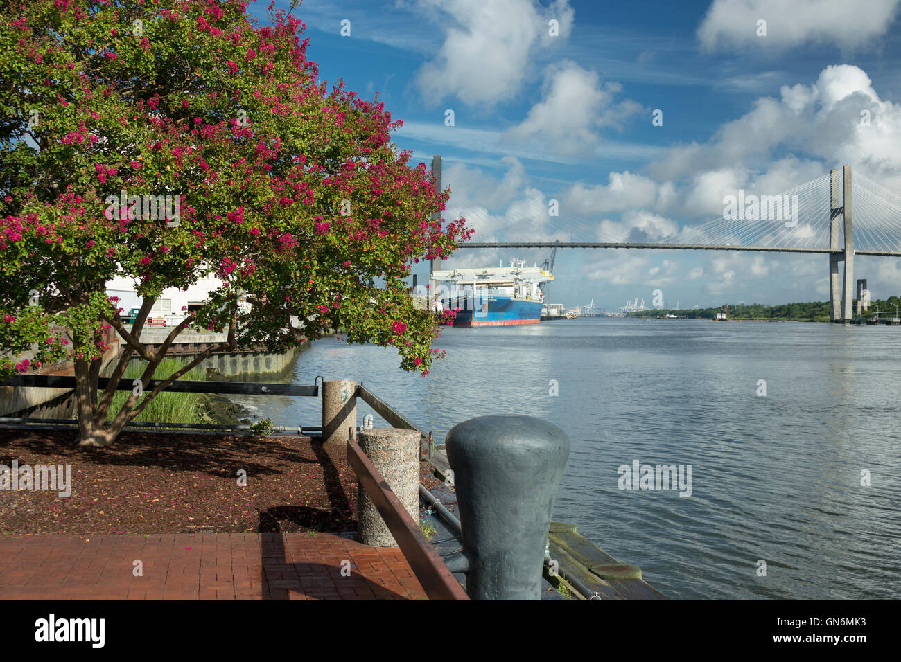 RIVER WALK PROMENADE SAVANNAH RIVER SAVANNAH GEORGIA USA Stock Photo ...