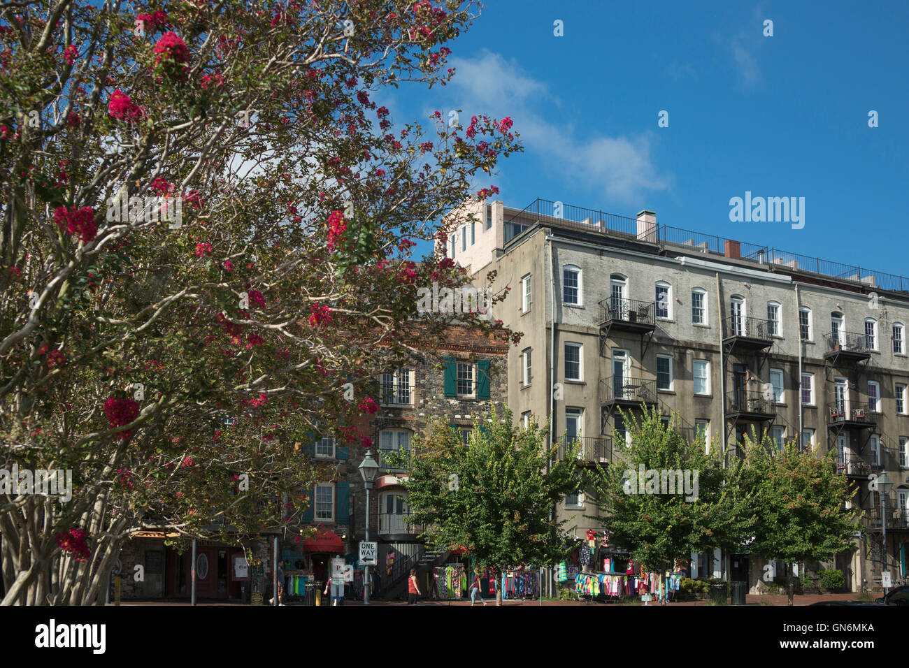 HISTORIC RIVER STREET BUILDINGS SAVANNAH GEORGIA USA Stock Photo - Alamy