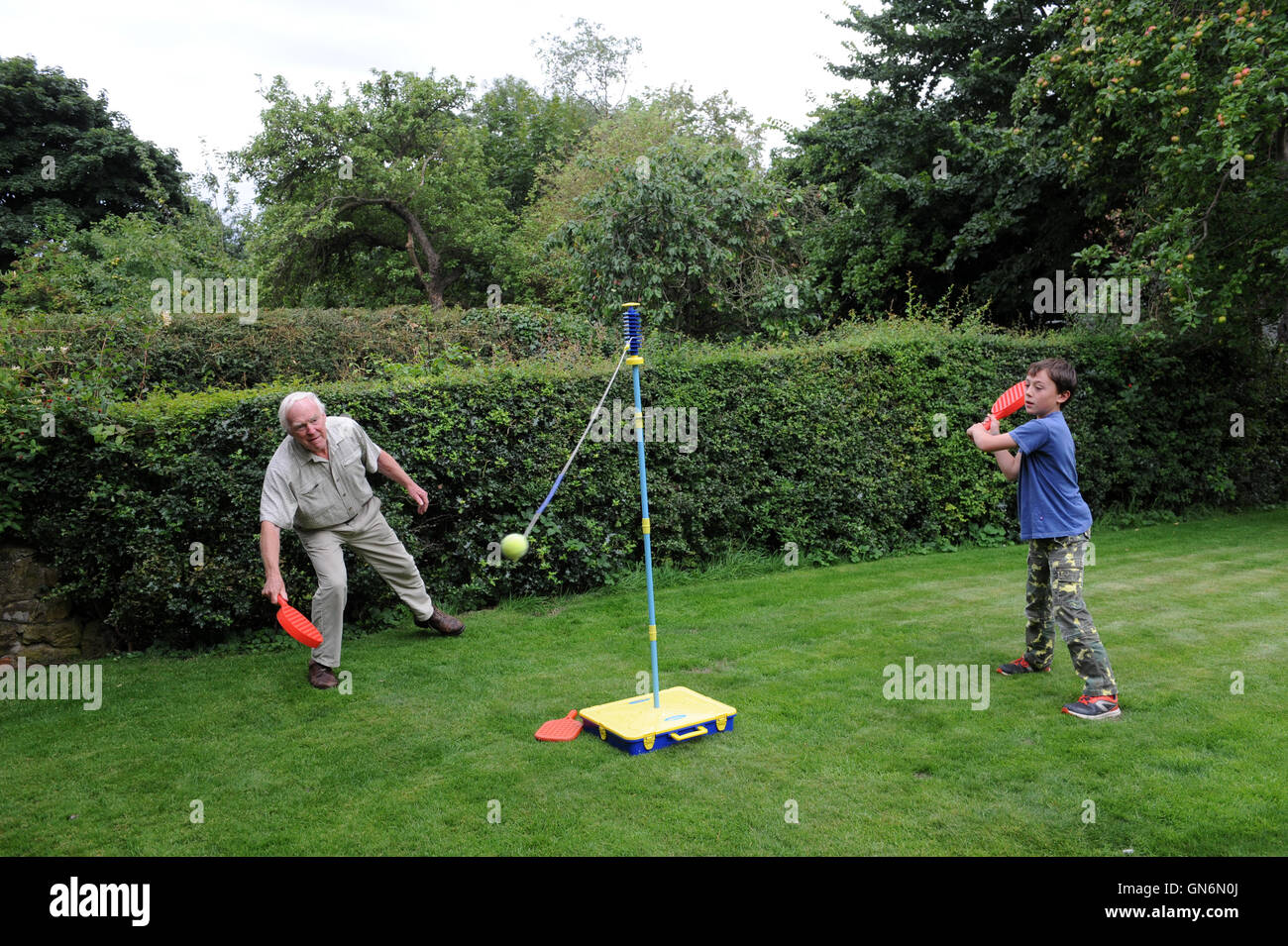 Grandfather playing Swingball with his Grandson in the garden Stock ...