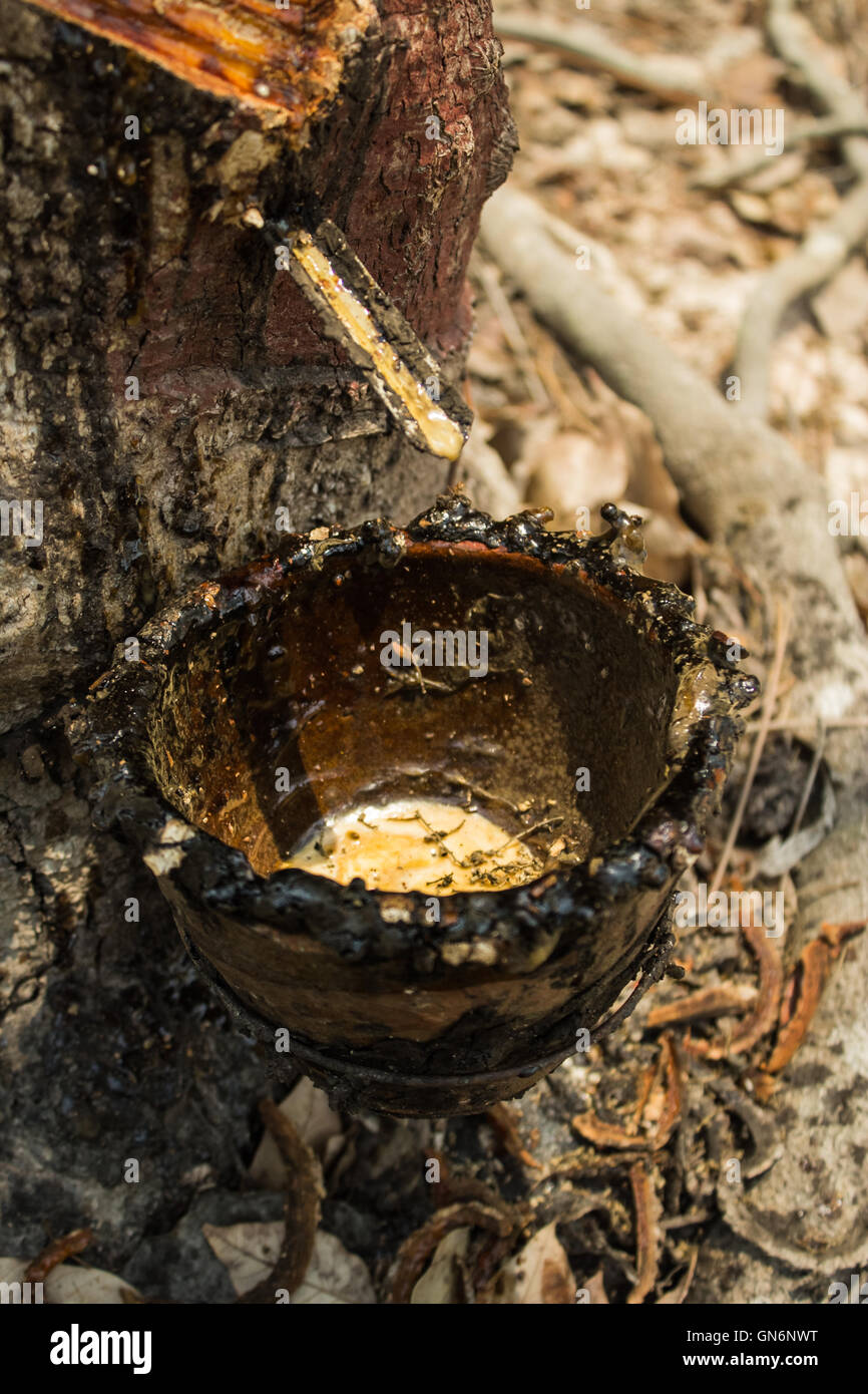 Rubber making process hi-res stock photography and images - Alamy
