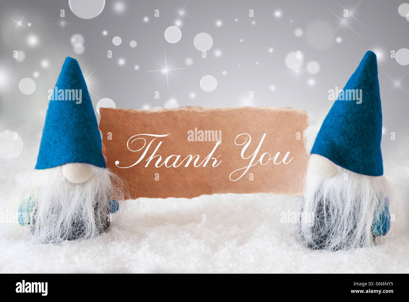 Blue Gnomes With Card, Text Thank You Stock Photo - Alamy
